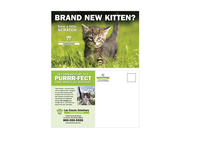 Veterinary Marketing - American Speedy Printing Marketing Print Signs ...